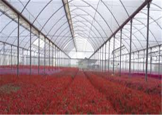 Transparent Greenhouse Coverings Polyethylene Film Prevent Dripping Onto Plants