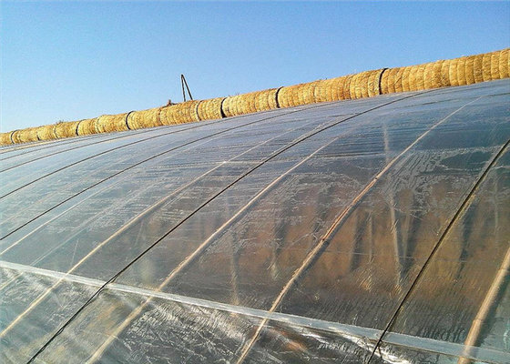Holographic Plastic Greenhouse Film Single Layer PE Material , 1m-20m Width