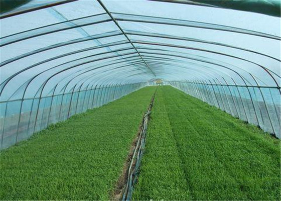 Soft Uv Resistant Greenhouse Plastic Window Film Less Demand For Watering