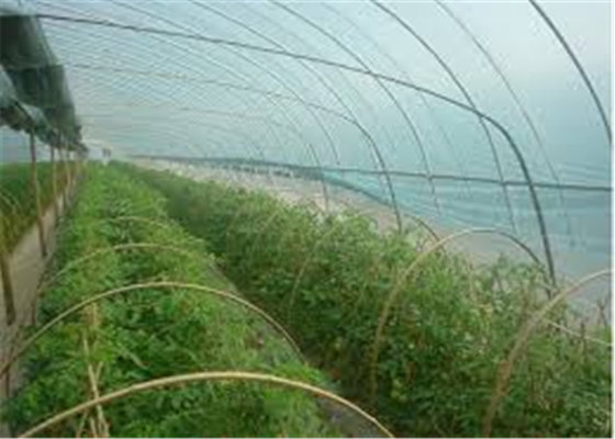 Agricultural Soft Greenhouse Plastic Film , UV Protection Clear Plastic Roll
