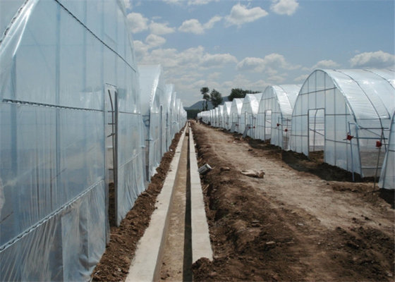 Agricultural Soft Greenhouse Plastic Film , UV Protection Clear Plastic Roll