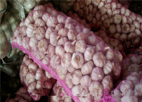 PP PE Round Yarn Net Plastic Mesh Bags For Packaging Fruits And Vegetables