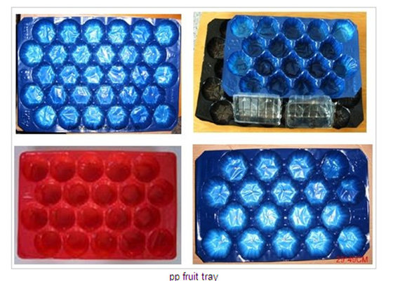 Biodegradable Fruit Packaging Trays Protect Fruits Without Cracking And Crashing