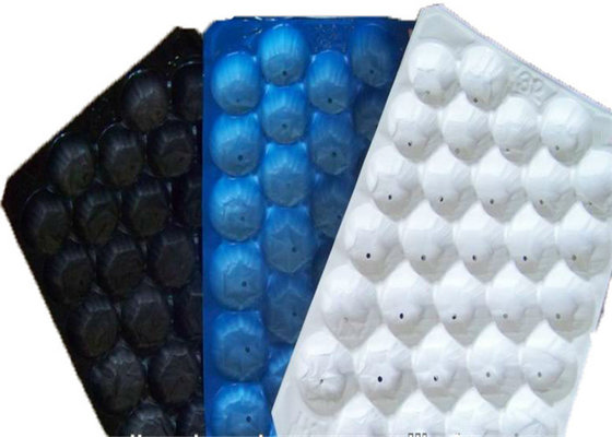 Multicolor Fruit Packaging Trays Rectangle Shaped 0.11 - 0.19 Mm Thickness