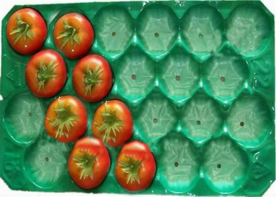 Convenient Plastic Fruit Tray , Tomato Trays Packaging Professional Mould Design