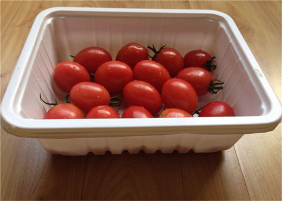 PP Takeaway Food Containers For Prolong Food Shelf Life , Minimise Food Waste