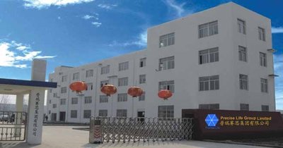 Precise Life Group Limited
