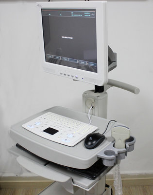 PL-100 Touch Screen Trolley Ultrasound Diagnosis B Scanner (ultrasound black and white scanner) ultrasouns systems