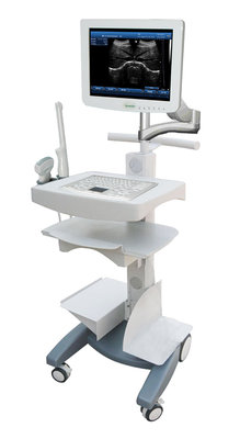 PL-100 Touch Screen Trolley Ultrasound Diagnosis B Scanner (ultrasound black and white scanner) ultrasouns systems