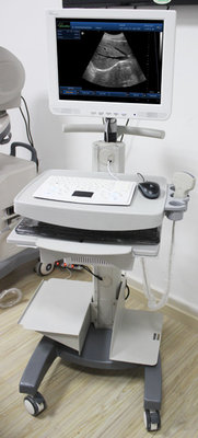 PL-100 Touch Screen Trolley Ultrasound Diagnosis B Scanner (ultrasound black and white scanner) ultrasouns systems