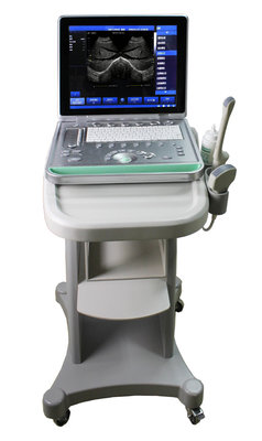 ARM based Laptop ultrasound scanner machine system