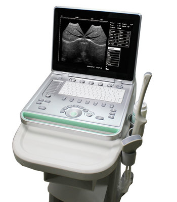 Laptop Ultrasound scanner black and white Laptop ultrasound machine system