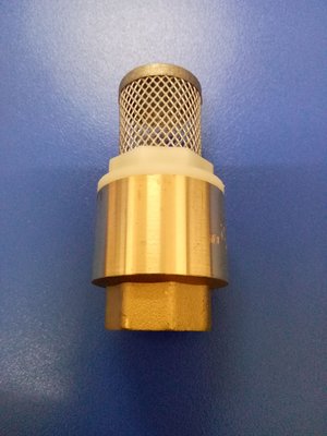 Plumbing Stainless Steel Vertical Check Valves Filter Screen For Water