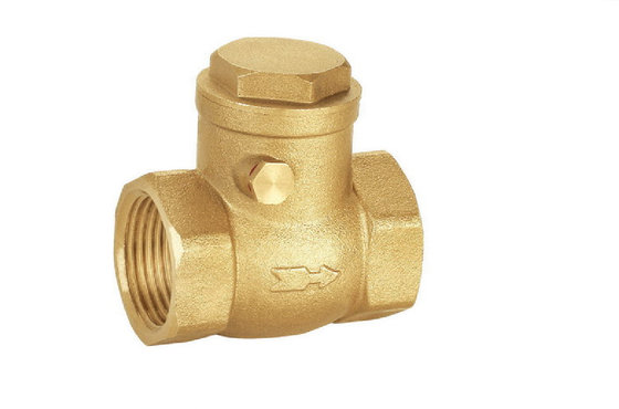 Hot Forging Horizontal Check Valve With Sand Blasting Polishing Treatment