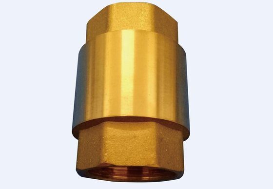 One Way Spring Check Valve For Water , Adjustable Check Valve