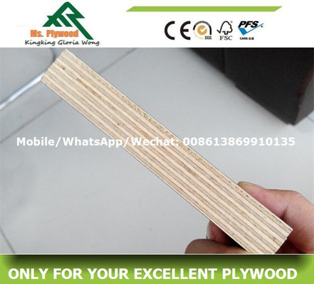 Cheap Plywood,Linyi Plywood,Black Film Faced Plywood,Construction Plywood,Formwork Plywood