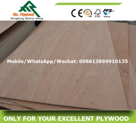 Cheap Plywood,Linyi Plywood,Bintangor Plywood,Commercial Plywood