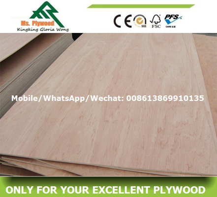 Cheap Plywood,Linyi Plywood,Bintangor Plywood,Commercial Plywood