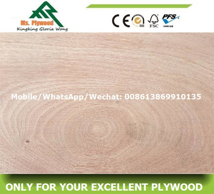 Okoume Face & Back Plywood,Ordinary Plywood,Commericial plywood