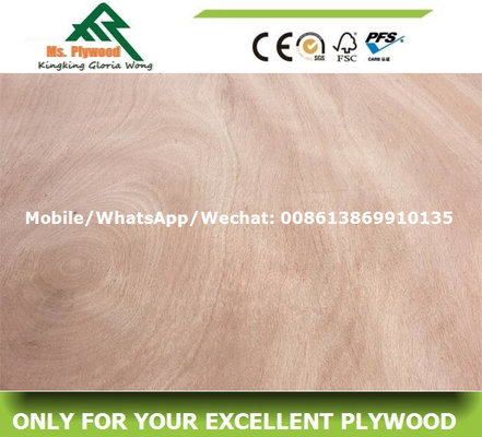 Okoume Face & Back Plywood,Ordinary Plywood,Commericial plywood