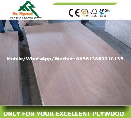 Okoume Face & Back Plywood,Ordinary Plywood,Commericial plywood