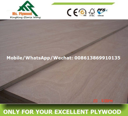 Okoume Face & Back Plywood,Ordinary Plywood,Commericial plywood