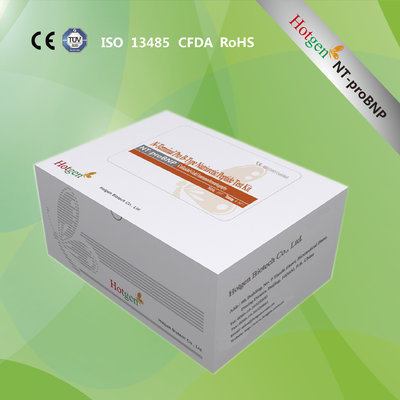 NT-proBNP rapid test