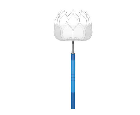 MemoLefort®Left Atrial Appendage (LAA) Occluders System