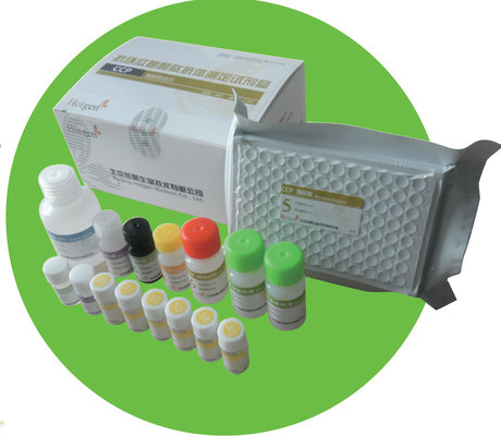 Vitain B12 ELISA Kit