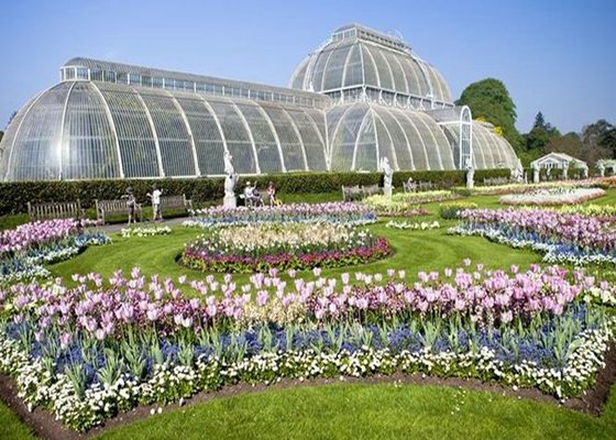 1.2mm - 18mm Thickness 2.1m Width Clear Agriculture polycarbonate building panels