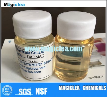 Functional Monomer