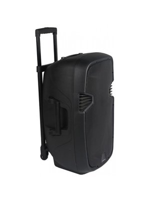 Professional Bluetooth Trolley Wireless Microphone Portable Speaker On Wheels