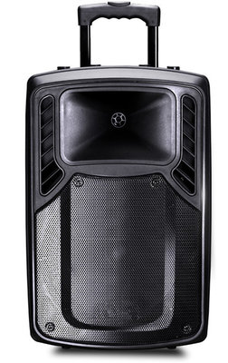 Rechargeable Plastic Portable Trolley Speakers , Portable Active PA Speaker