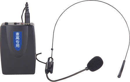 Professional Single Portable Pa Speaker With USB / SD / FM And Bluetooth Function