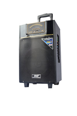 Pro 10 Inch Bass Rechargeable Trolley Speaker For Outdoor Party / Dancing