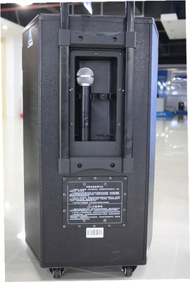 Wireless Uhf Microphone Rechargeable PA Speaker System With Trolley And Wheels