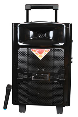 Outdoor Digital Rechargeable Trolley Speaker , Battery Powered Bluetooth Speaker