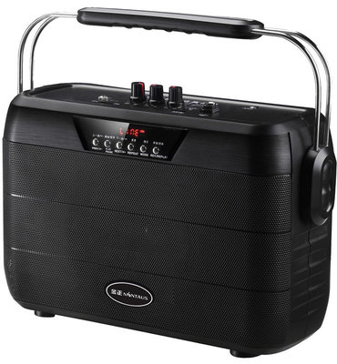 Professional PA Plastic Speaker Box , Wireless Portable Pa Speaker System