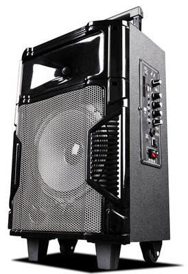 Pro Audio Music Bluetooth Rechargeable Trolley Speaker Portable PA Sound System