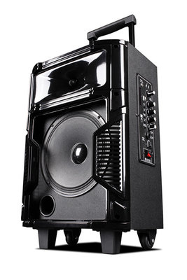 Pro Audio Music Bluetooth Rechargeable Trolley Speaker Portable PA Sound System