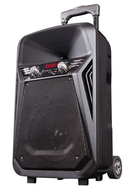 Compact Outdoor Portable Wireless PA System / Bluetooth Trolley Speaker