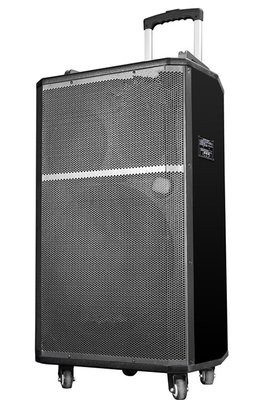 15 Inch Professional PA Portable Speaker System With Wireless Microphone