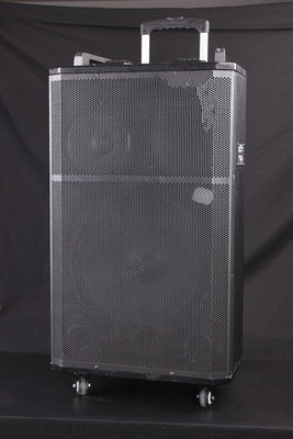 15 Inch Professional PA Portable Speaker System With Wireless Microphone