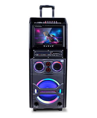 Small Portable Bluetooth Trolley Speaker With Disco Light / Led Display