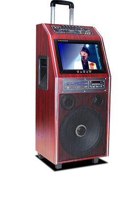 Rechargeable Battery Portable Speaker System / Bluetooth Speaker Box