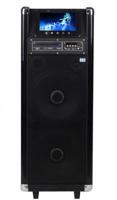 Double 12 Inch Woofer Portable Speaker System On Wheels , Battery Powered