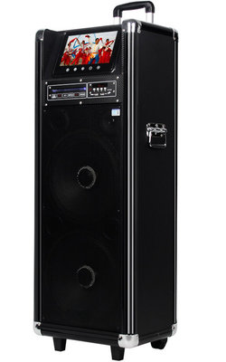 Double 12 Inch Woofer Portable Speaker System On Wheels , Battery Powered
