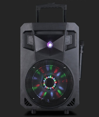 12 Inch Portable Disco Light Bluetooth Trolley Speaker Rechargeable Dj Speakers