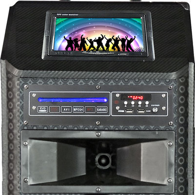 Rechargeable Battery Disco Light Portable Dj Speaker System PA Sound Speakers