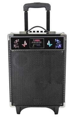 10 Inch Bluetooth Portable Speaker System With Wireless Microphone / Mic Input